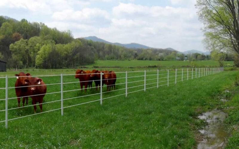 Why Farmers Choose Timeless Fence Systems for Farm Fencing - EnglishSumup